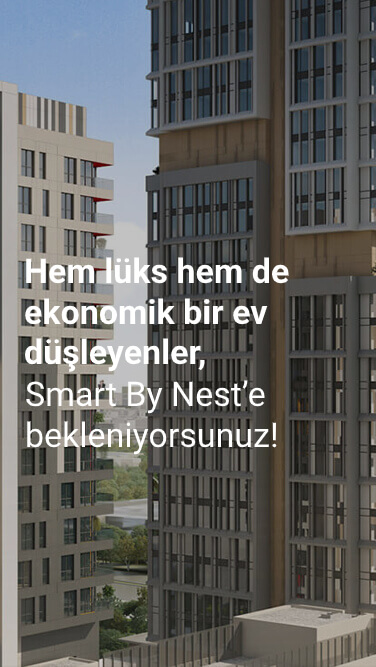 Nestone Smart