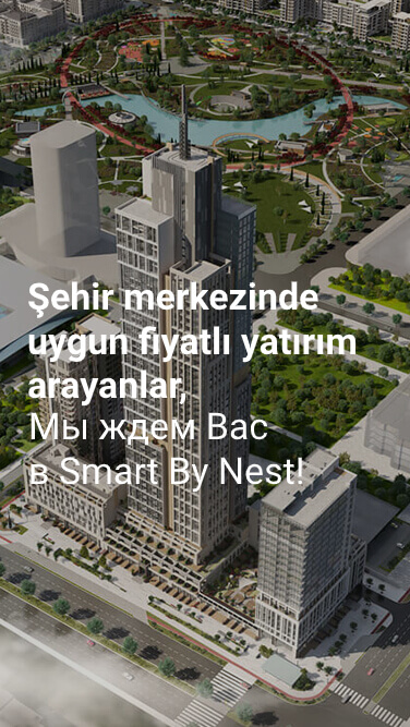 Nestone Smart