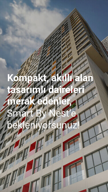 Nestone Smart